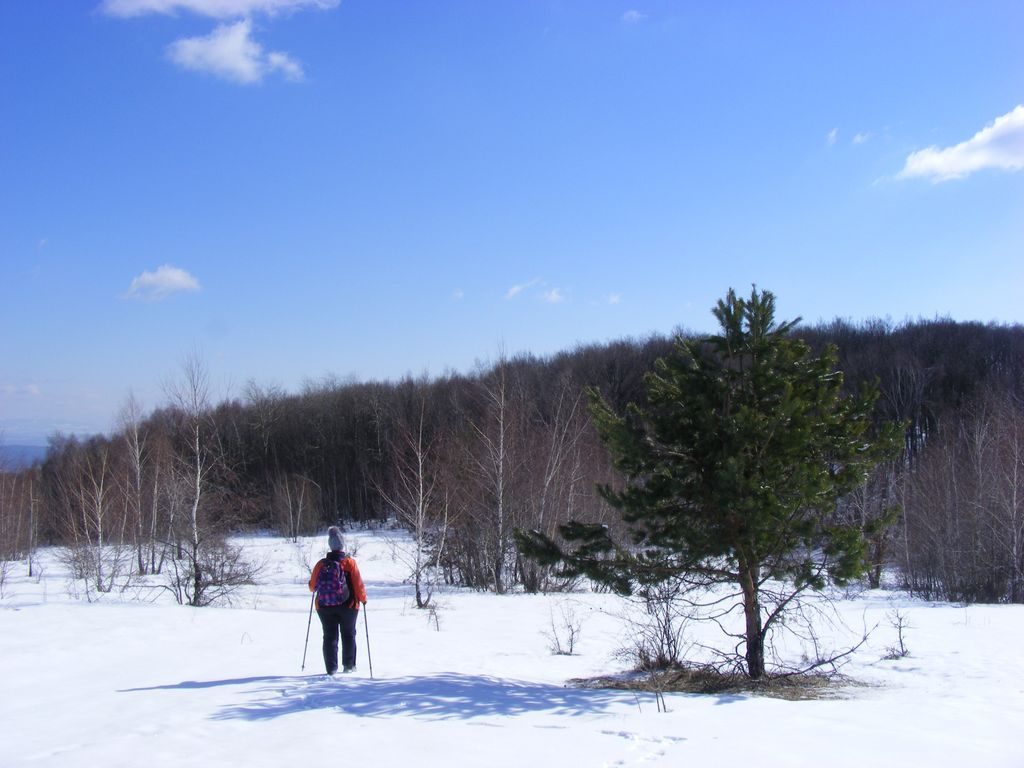 Semne firave de primavara in Muntii Țiblesului. Cetatea Ciceului si ...